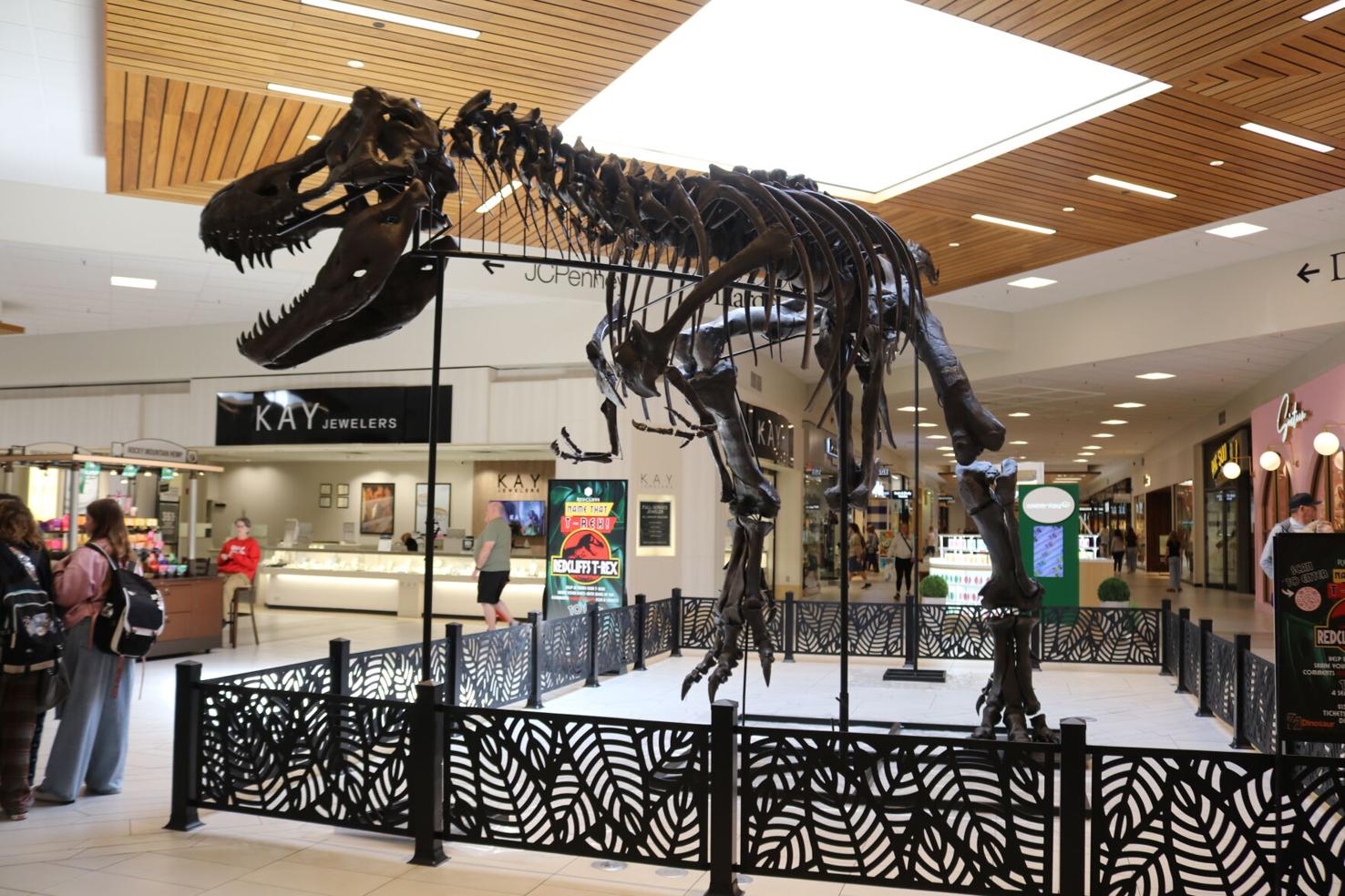 T. rex takeover: Red Cliffs Mall goes prehistoric with giant dinosaur ...