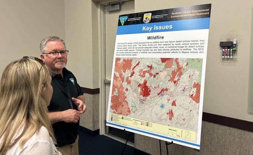 Conservation groups sue over re-approval of Northern Corridor highway ...