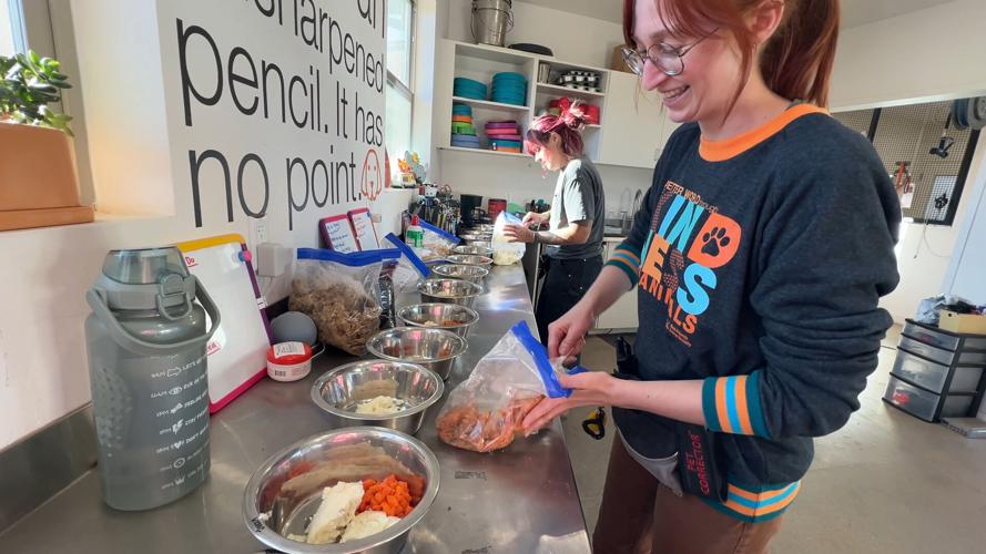 Best Friends hosts 'Dogsgiving' for adoptable dogs in Kanab | News ...