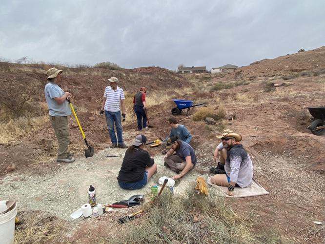 Heavy equipment operators needed during dig for dinosaur bones in St ...