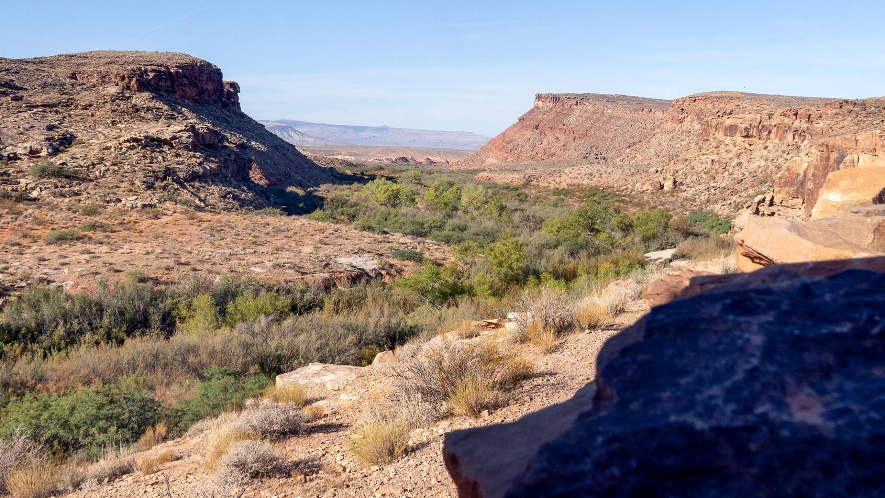 Discover the Desert: Delve into ruins at a historic gem in Warner ...