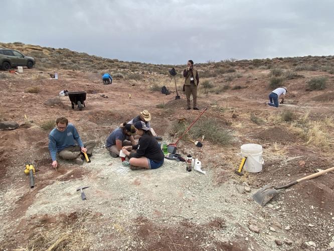 Heavy equipment operators needed during dig for dinosaur bones in St ...