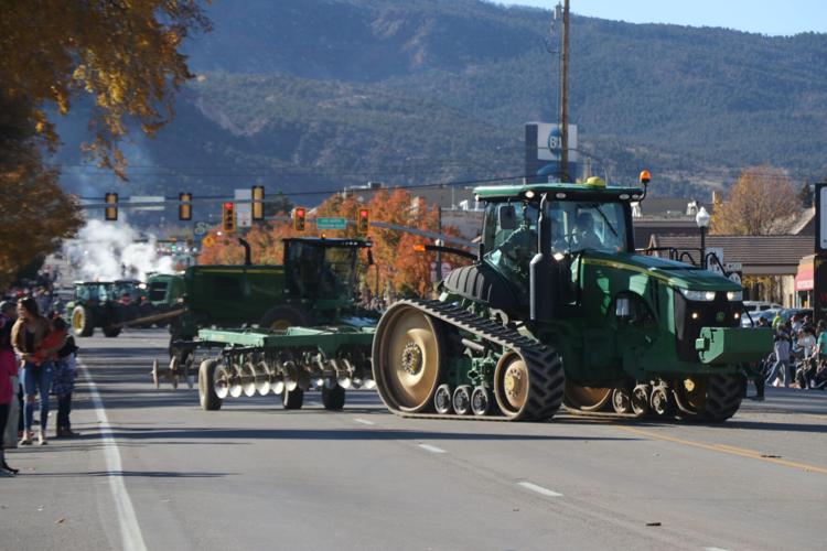 Video, photo gallery: Cedar City’s annual sheep parade | Events ...