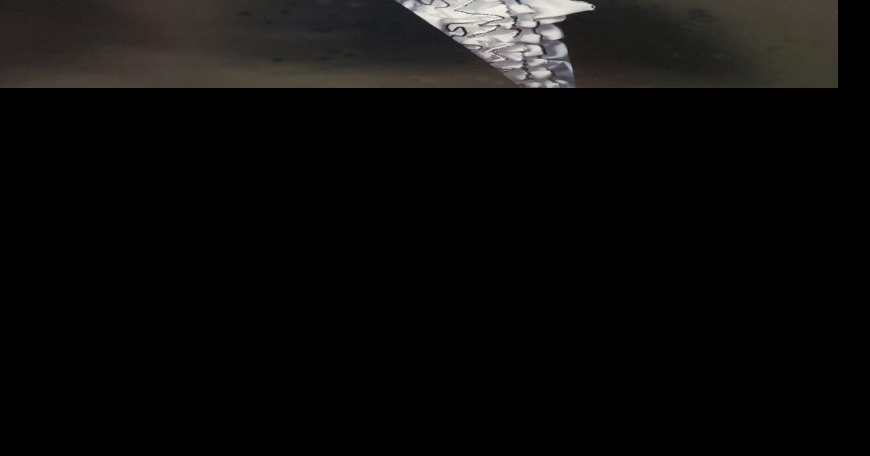 Don Calvert Tew | Obituaries | stgeorgeutah.com