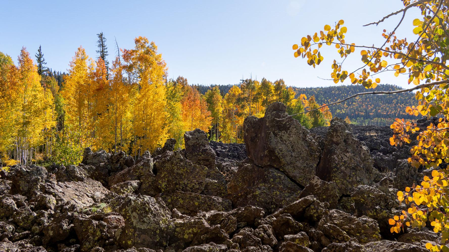 Don't miss this fleeting transformation: Where to see fall colors in ...