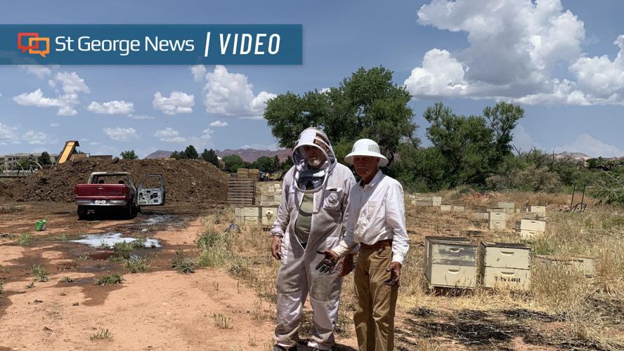 Taylor Honey bees survive truck fire in St. George; permitted burn days ...