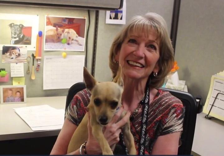 Little dog nuzzles her way into police officers’ hearts | Local News ...