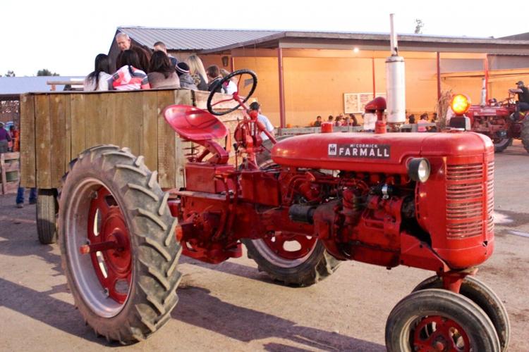 Tons of frightening fun at the Staheli Family Farm’s Fall Attractions ...