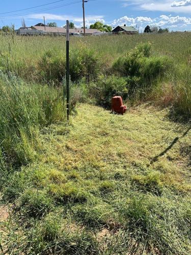 Cedar fire officials working to keep hydrants clear of weeds ...