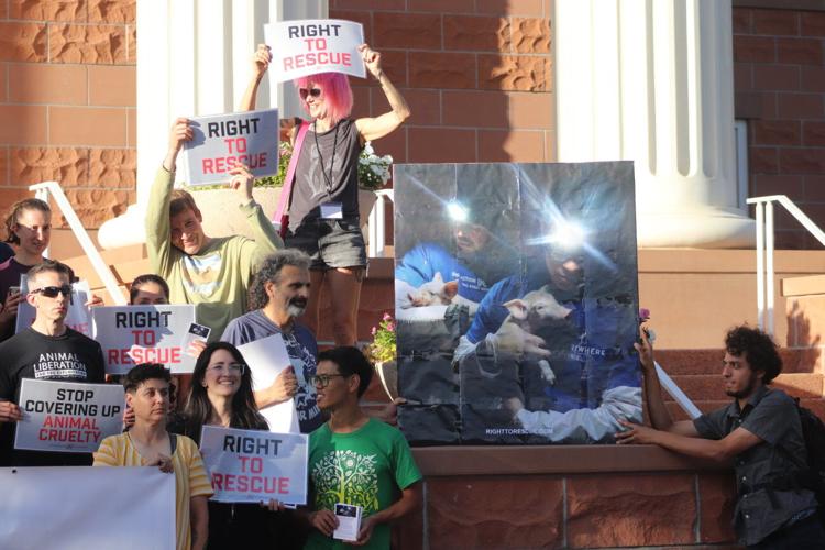 ‘Elevate the message’: Animal rights activists protest in St. George ...
