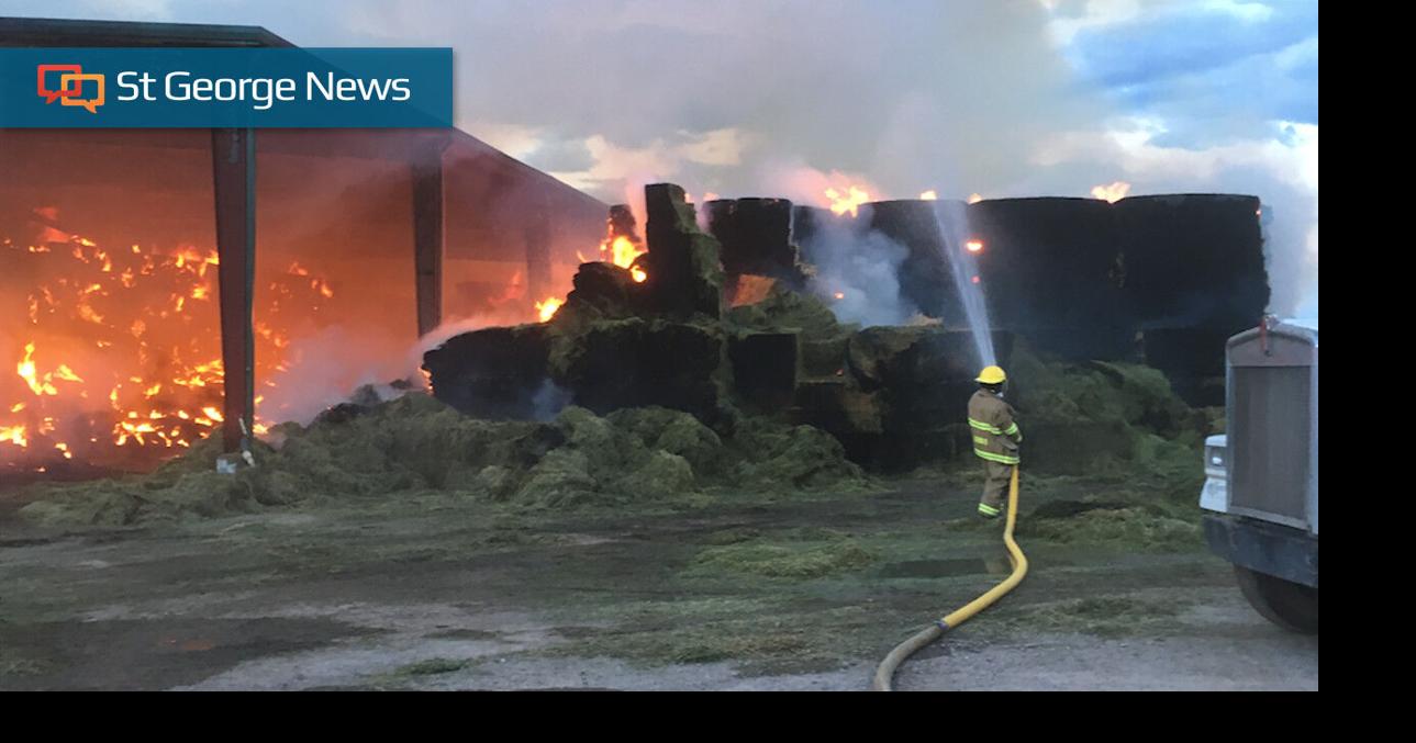 Spontaneously combusting hay causes barn fire at Newcastle dairy farm ...