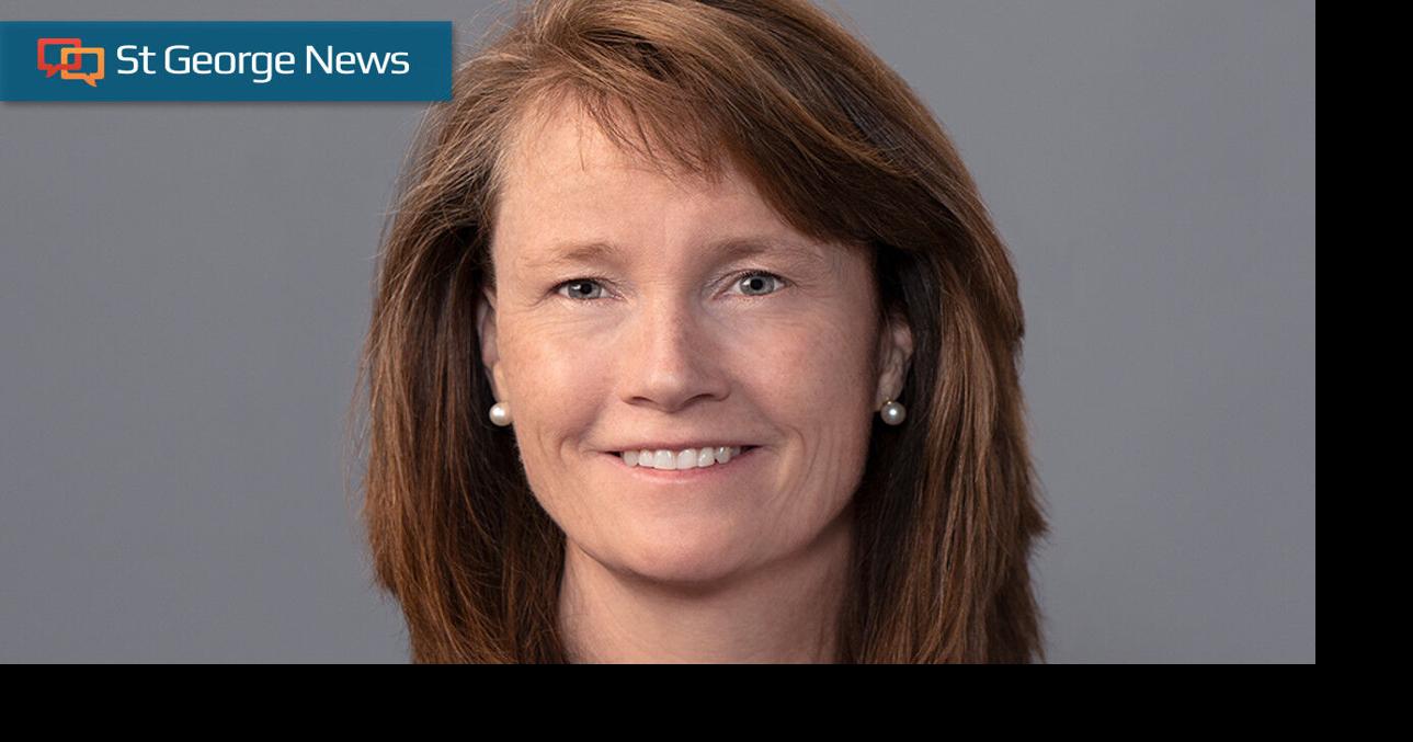 State Sen. Kathleen Riebe wins Democratic nomination in bid to replace ...