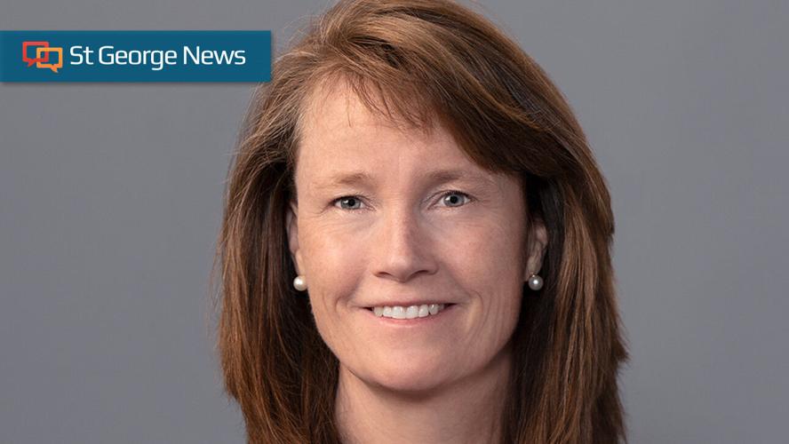 State Sen. Kathleen Riebe wins Democratic nomination in bid to replace ...