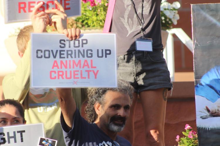 ‘Elevate the message’: Animal rights activists protest in St. George ...
