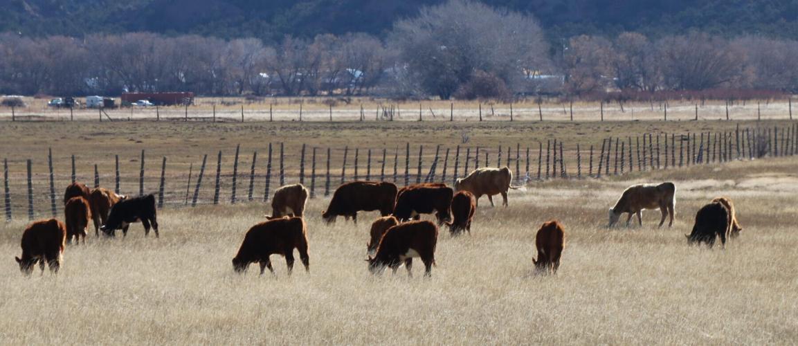 Iron County officials to hold town hall meeting on proposed new jail ...