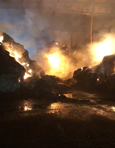 Spontaneously combusting hay causes barn fire at Newcastle dairy farm ...