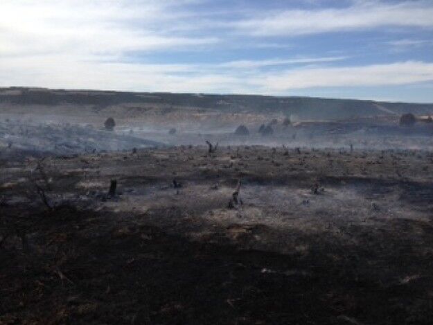 Garfield County fire torches 200 acres | News | stgeorgeutah.com