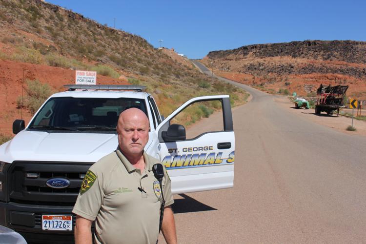 Family seeks help with the prickly problem of a porcupine | Local News ...
