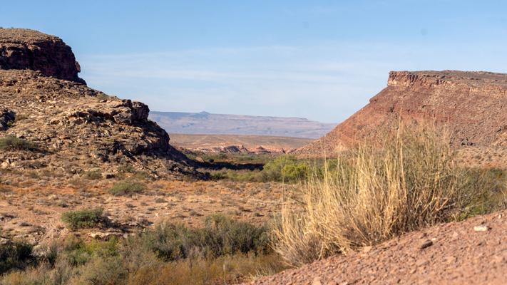 Discover the Desert: Delve into ruins at a historic gem in Warner ...