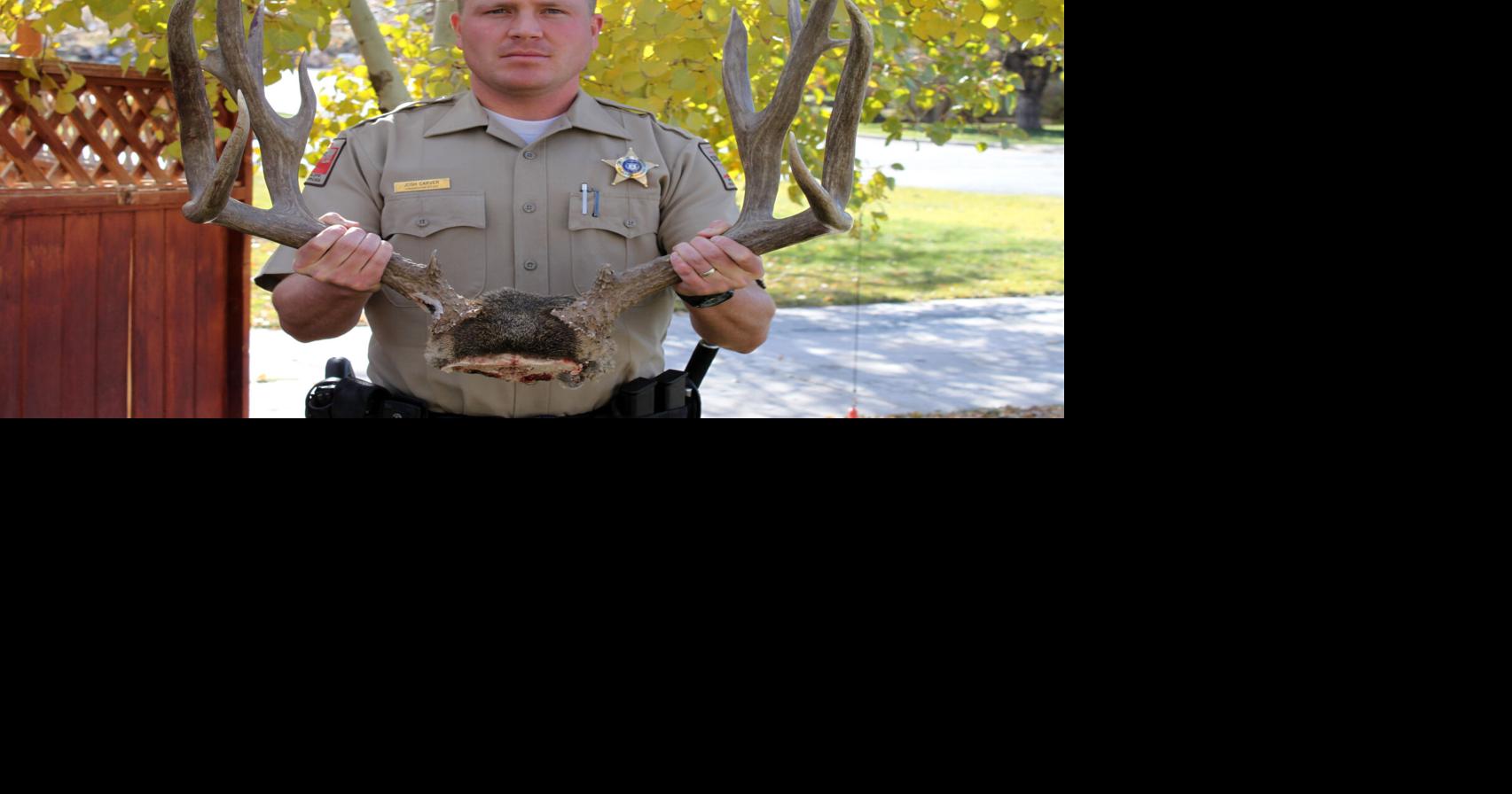 How to help fight poaching in Utah | News | stgeorgeutah.com