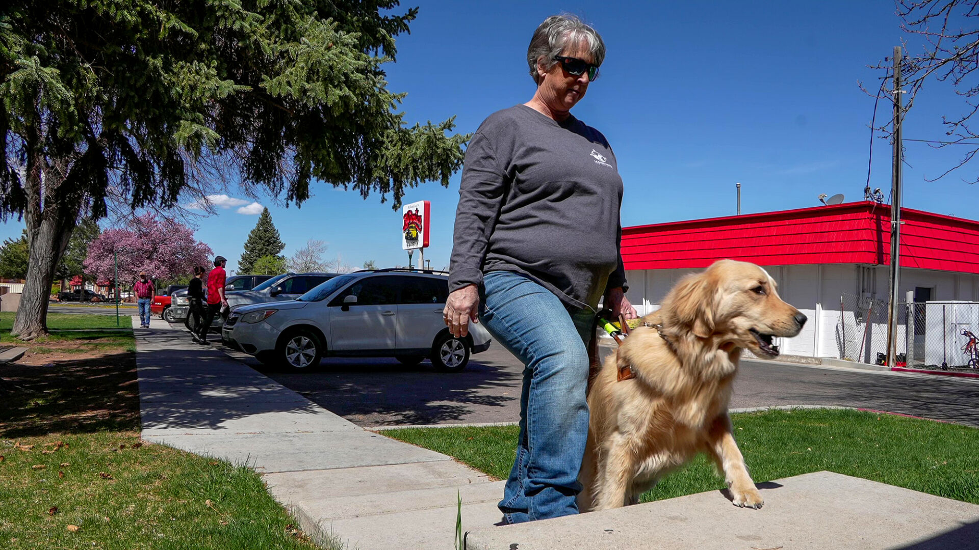 Leader Dogs for the Blind seeks puppy raisers; how Southern Utahns can ...