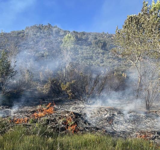 Fire near Oak Grove Campground grows to 22 acres | Local News ...