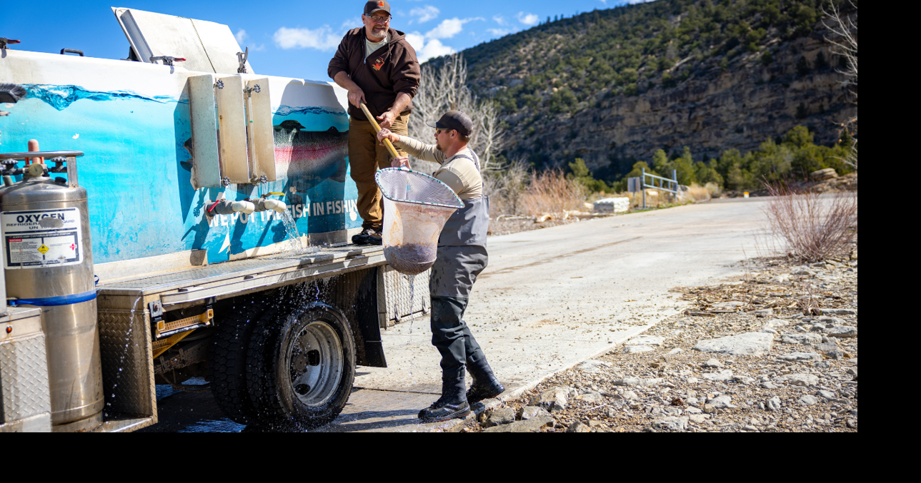 Division of Wildlife Resources stocks more than 11.6 million fish ...