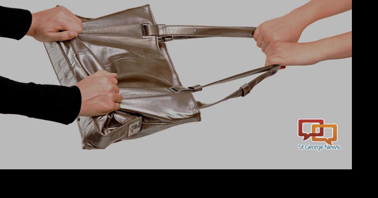 Purse snatcher in jail after citizens jump in to help | Local News ...