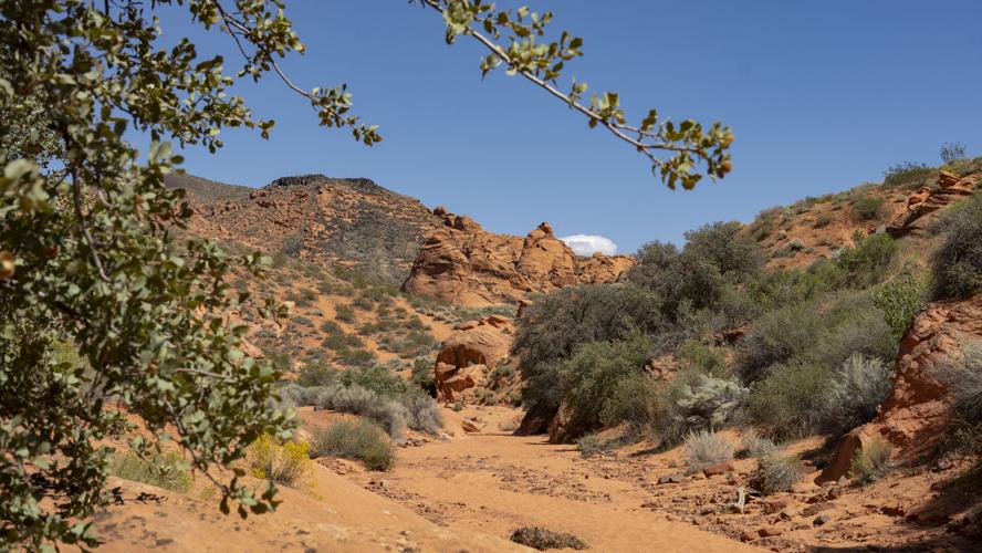 Discover the Desert: Embrace Southern Utah’s sand and conquer Elephant ...