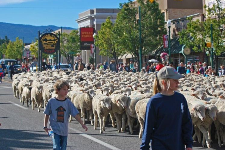 Livestock, agriculture and cowboys recognized in Cedar City’s heritage ...