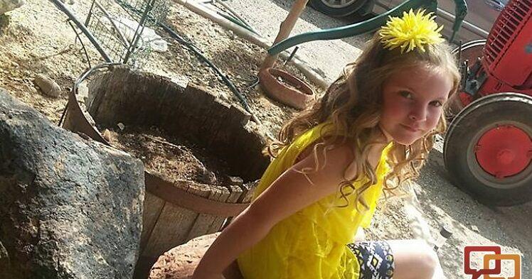 7-year-old St. George girl’s nose bitten off by dog | Local News ...