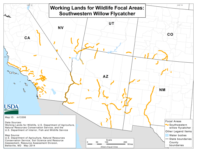 Ecosystem-wide plan launched for willow flycatcher, other species ...