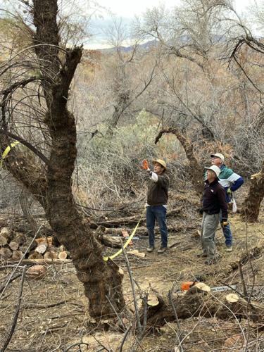 Ivins nonprofit's new collaboration aims to restore Utah's native ...
