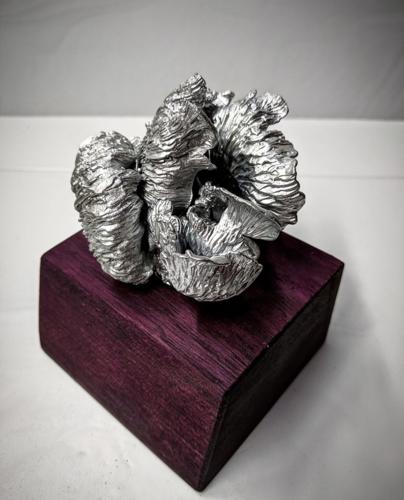 This Southern Utah artist metal-casts real mushrooms and succulents ...