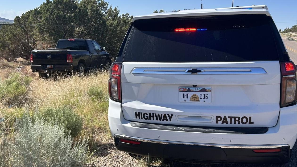 Highway patrol: Driver crashes into utility pole after reaching for ...