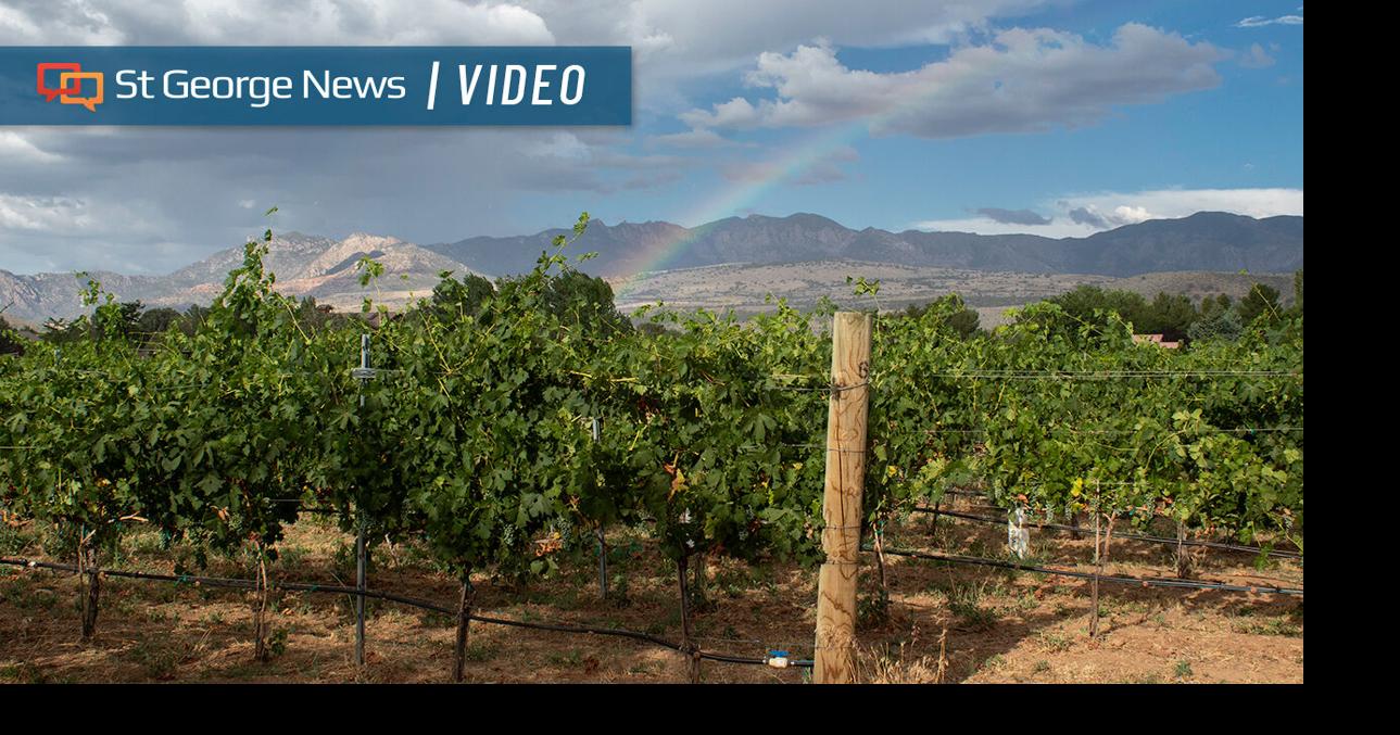 Bold and Delaney Winery and tasting room to open at Dammeron Valley ...
