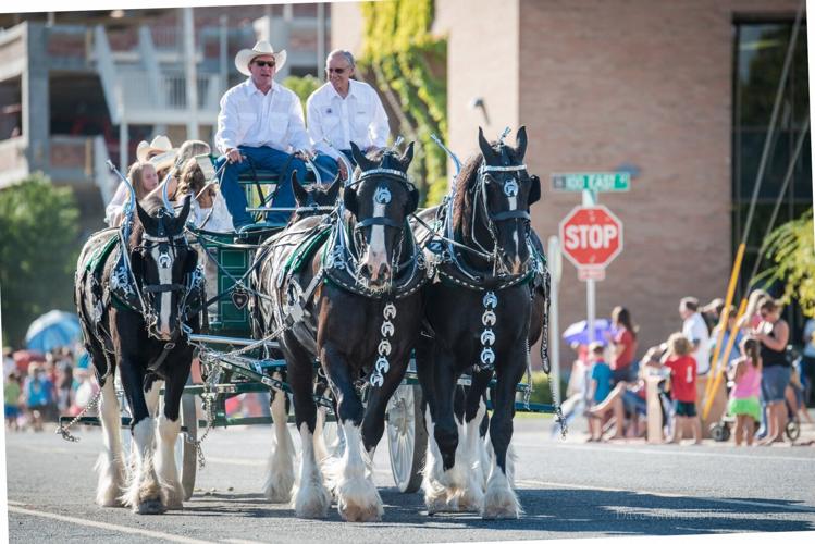Dixie Roundup Rodeo Parade, STGnews Photo Gallery | Life | stgeorgeutah.com