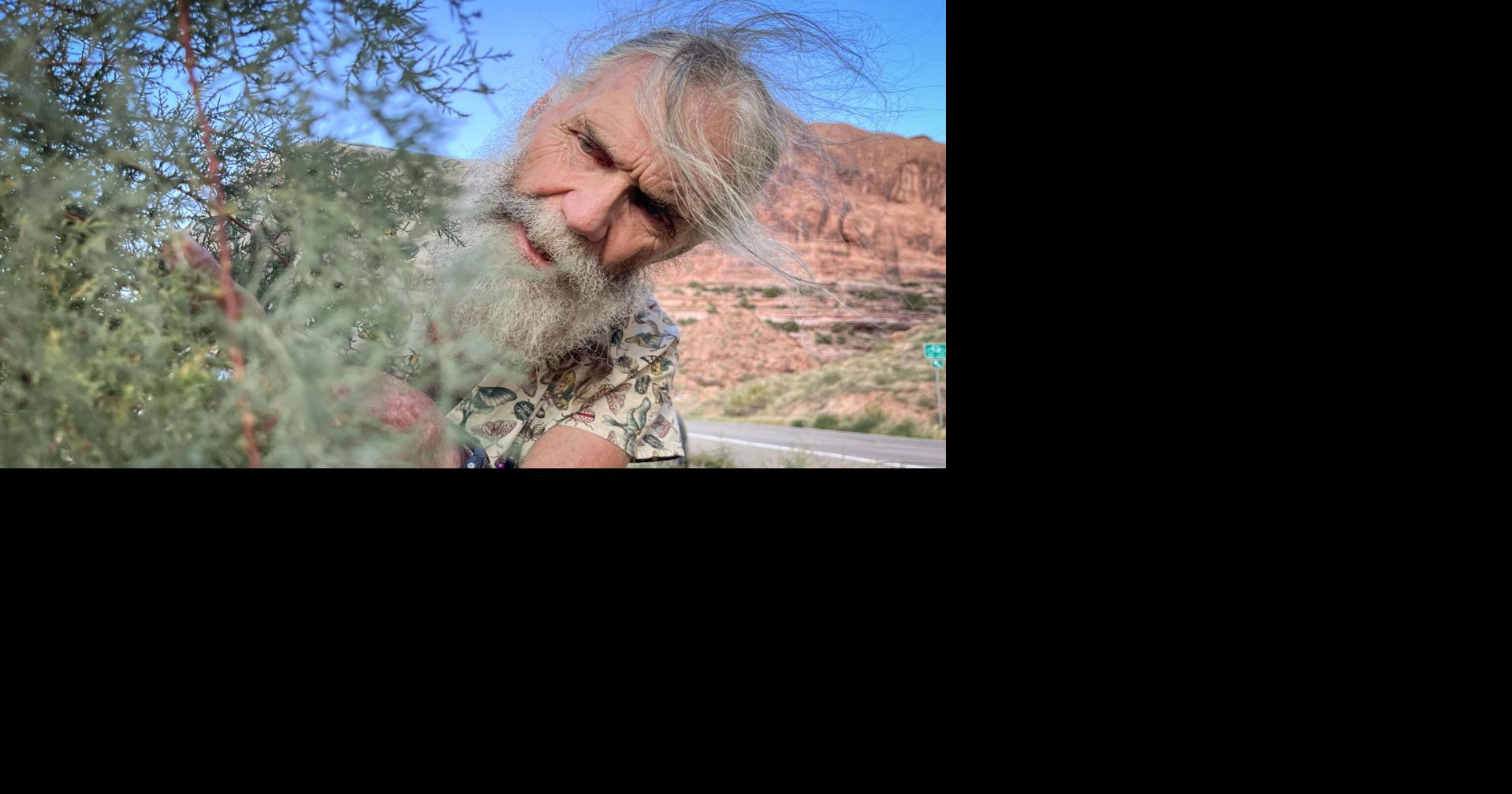 One Utah man’s quest to track the bugs fighting invasive trees on the ...
