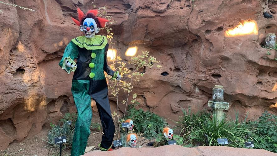 Record crowds creep through Haunted Canyon and Scarecrow Walk in St ...