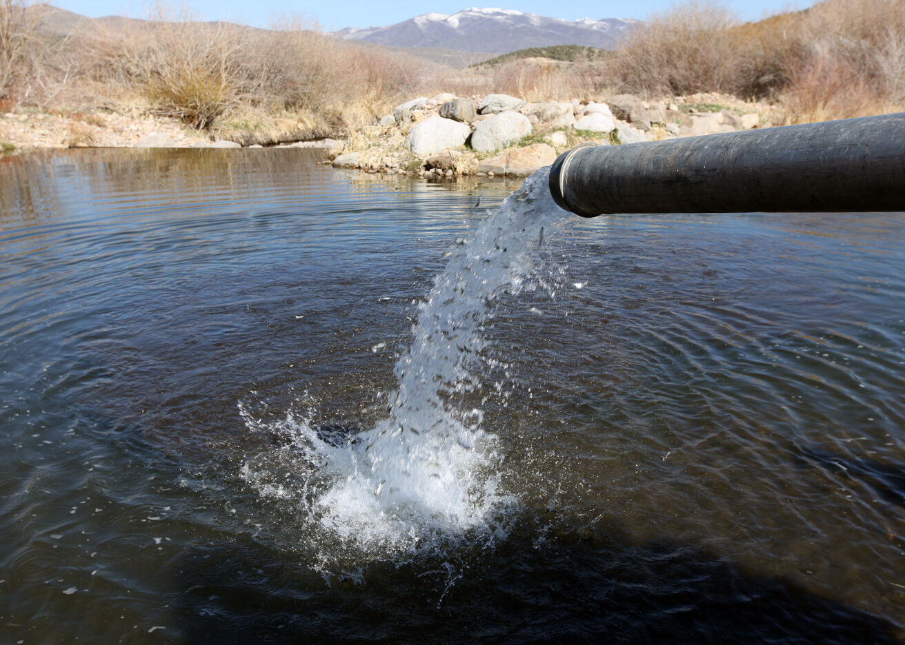 Division of Wildlife Resources stocks more than 11.6 million fish ...