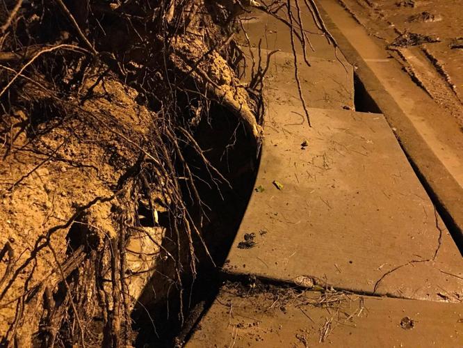 Photo Gallery: Summer storm stirs up Southern Utah – VIDEO added ...