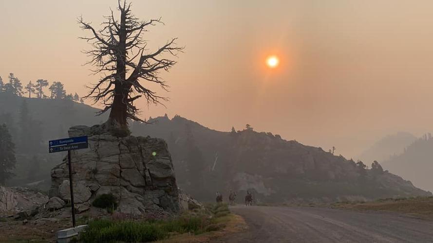 Mother and daughter horseback riders from Leeds finish Tevis Cup, a 1 ...