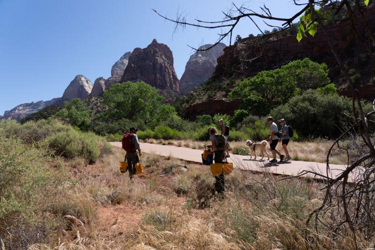 What can you do to help protect native plants in Zion National Park ...