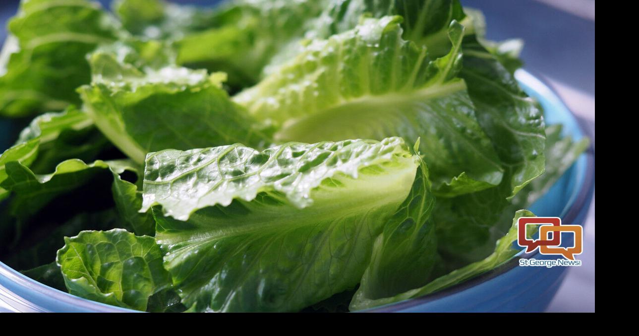CDC warns of possible E. coli contamination in chopped romaine lettuce ...