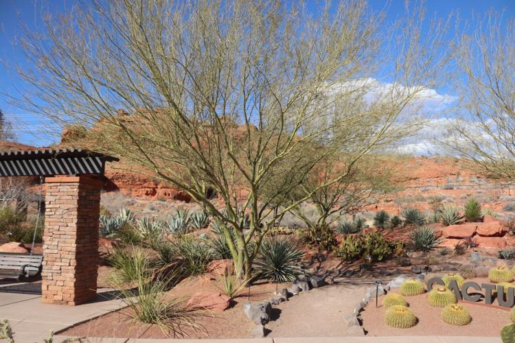 ‘Grass doesn’t belong everywhere’: Utah officials roll out statewide ...