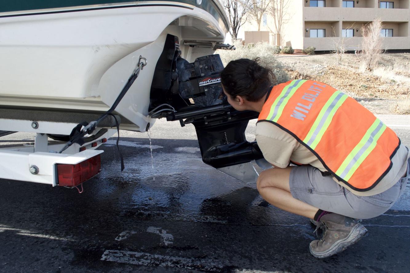 Boating in Utah in 2025? Steps to prevent the spread of invasive ...