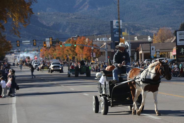 Video, photo gallery: Cedar City’s annual sheep parade | Events ...