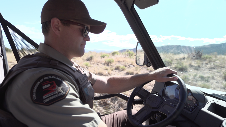 DWR: 173 wild animals illegally killed in Utah since last month. Here’s ...