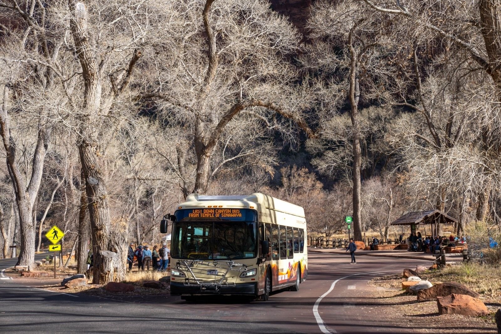 Zion National Park to resume shuttle service. Here's what visitors ...