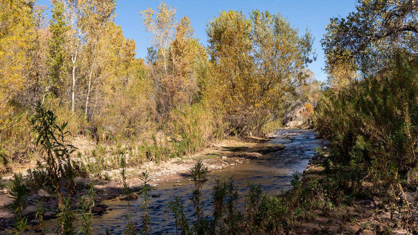 Discover the Desert: Make this Southern Utah oasis turned nature ...